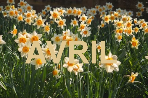 Programmation — Avril 2025 - OEIL Granby